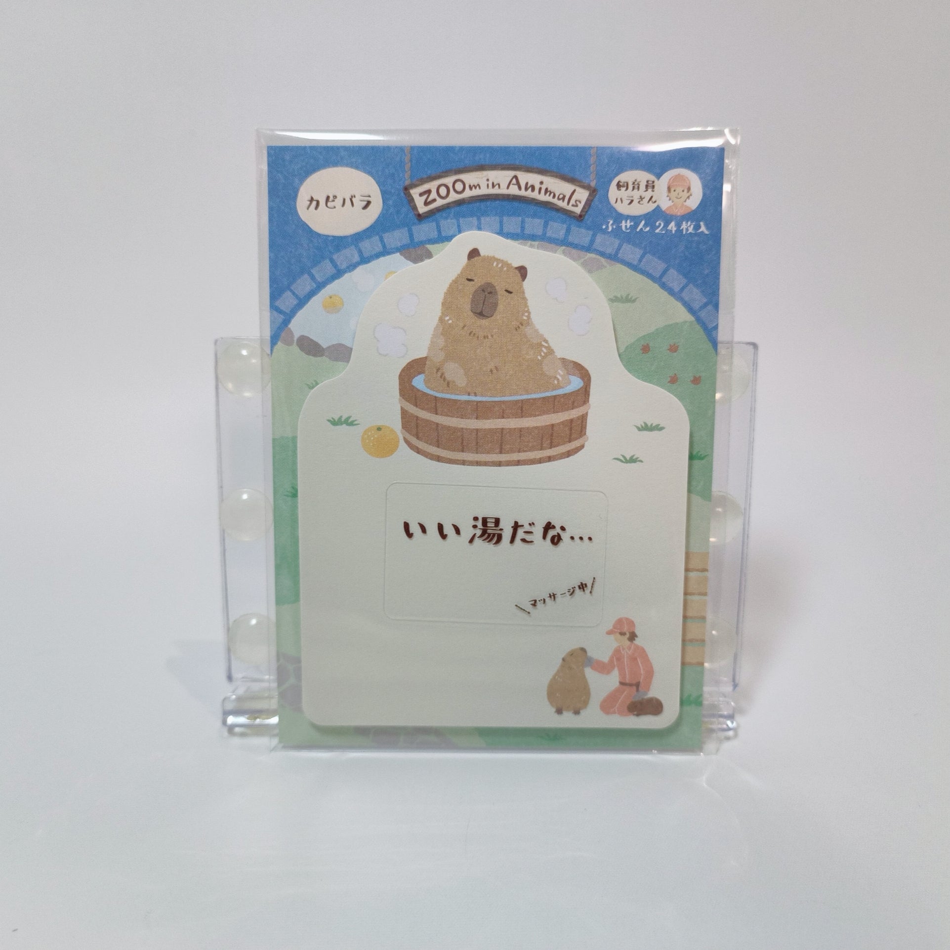 ZOOm in Animals Capybara Sticky Memo – Rainbowholic Shop